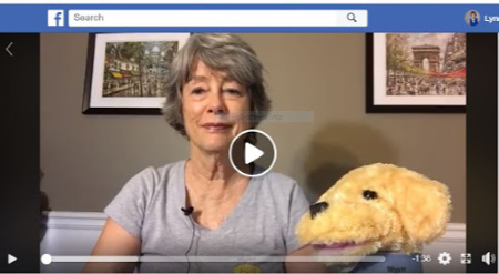 4 ways to teach your best lessons - Wyatt The Wonder Dog