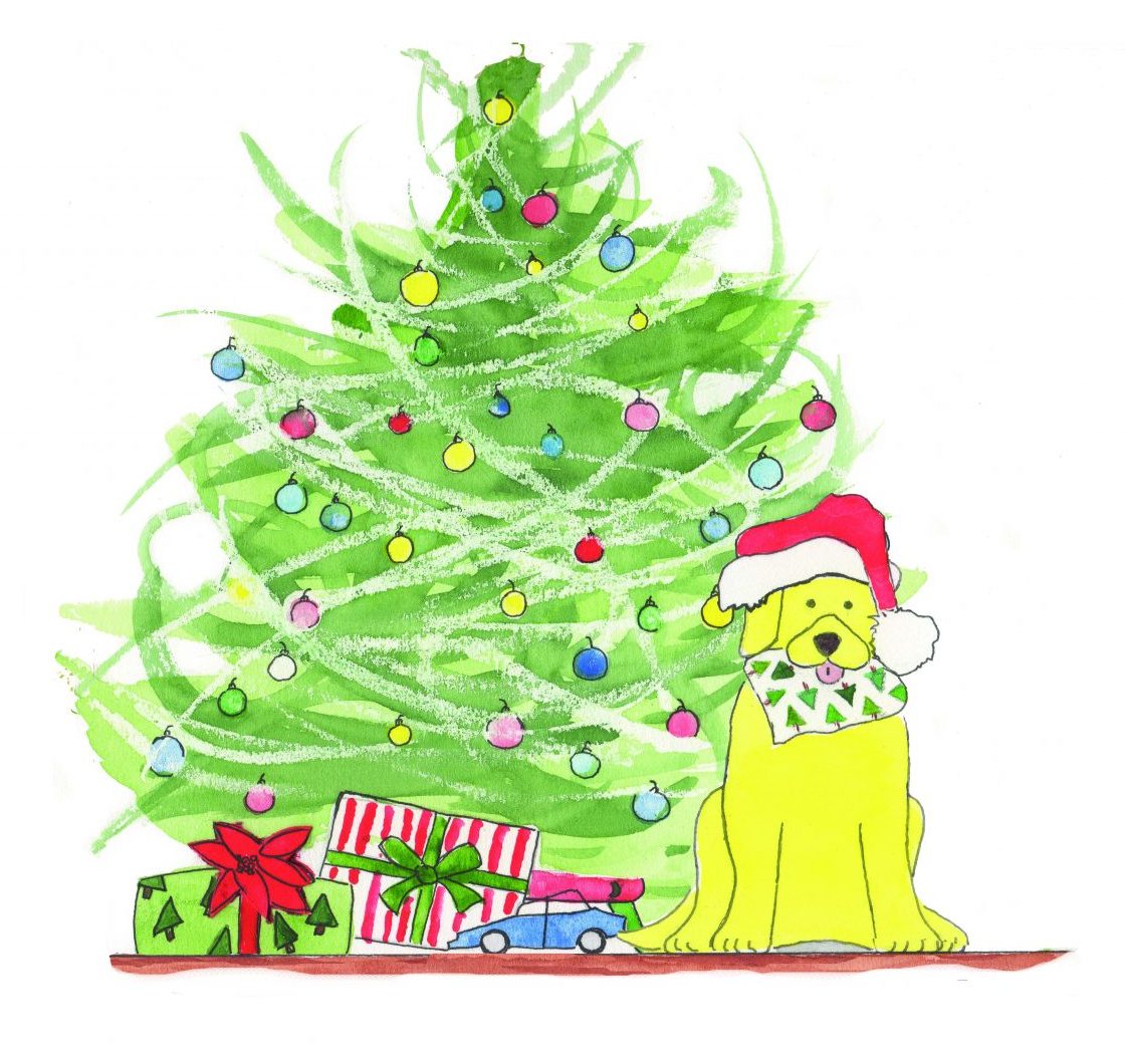 Trial Membership - Wyatt The Wonder Dog