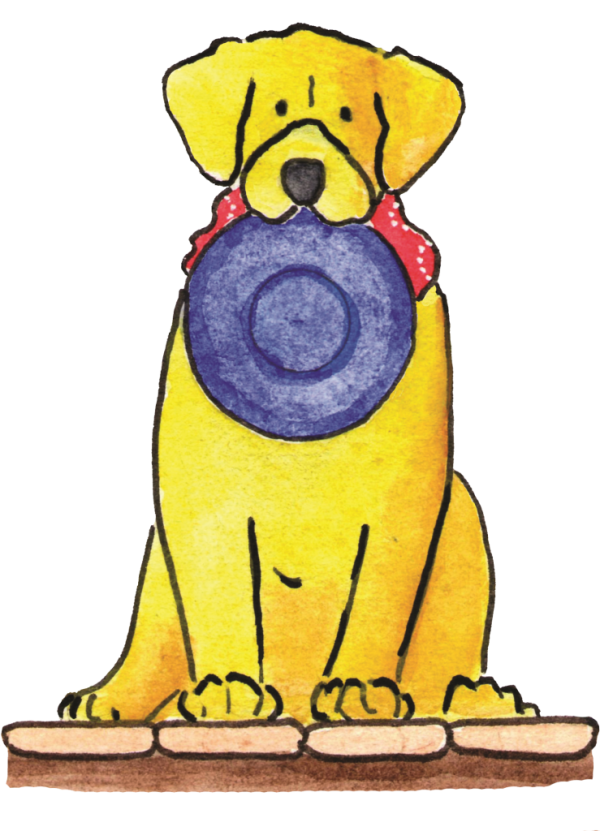 About Wyatt the Wonder Dog - Wyatt The Wonder Dog